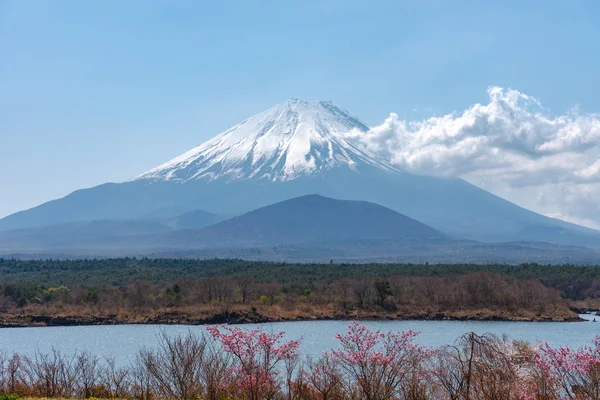 Mount Fuji or Mt. Fuji, the World Heritage, view in Lake Shoji ...