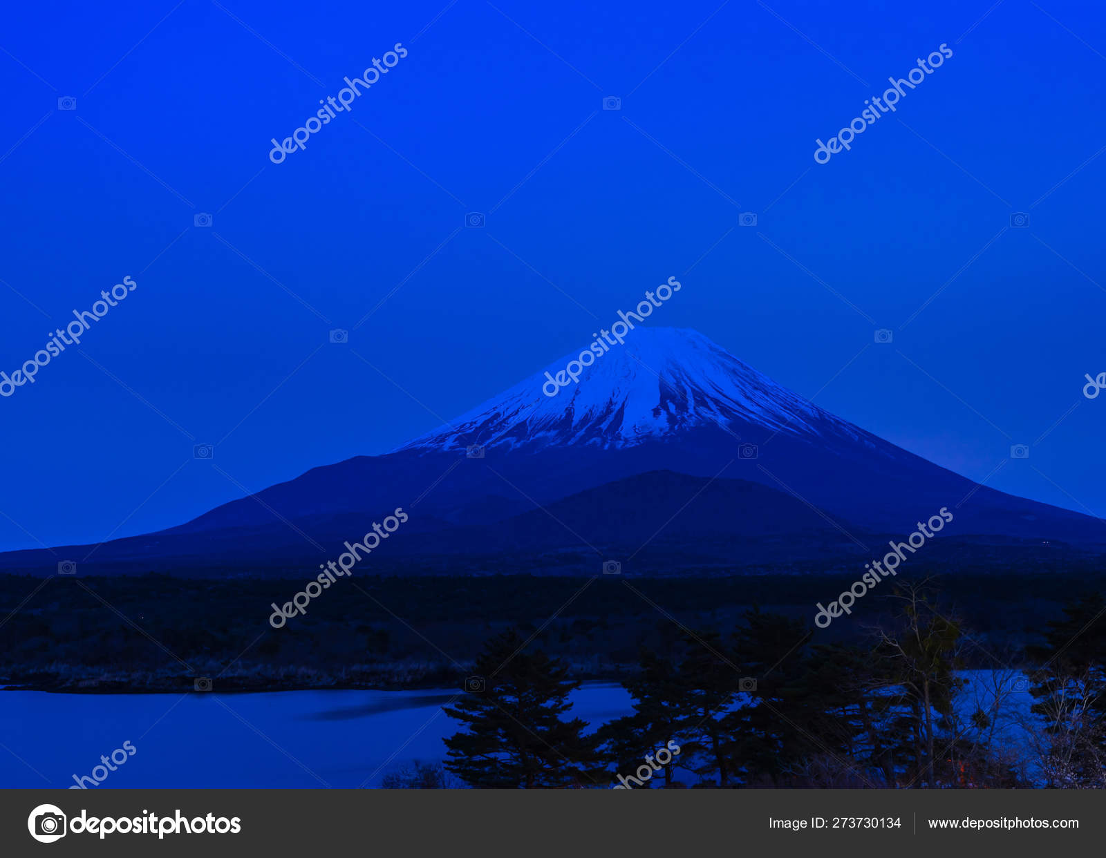 Mount Fuji or Mt. Fuji, the World Heritage, view at Lake Shoji ...