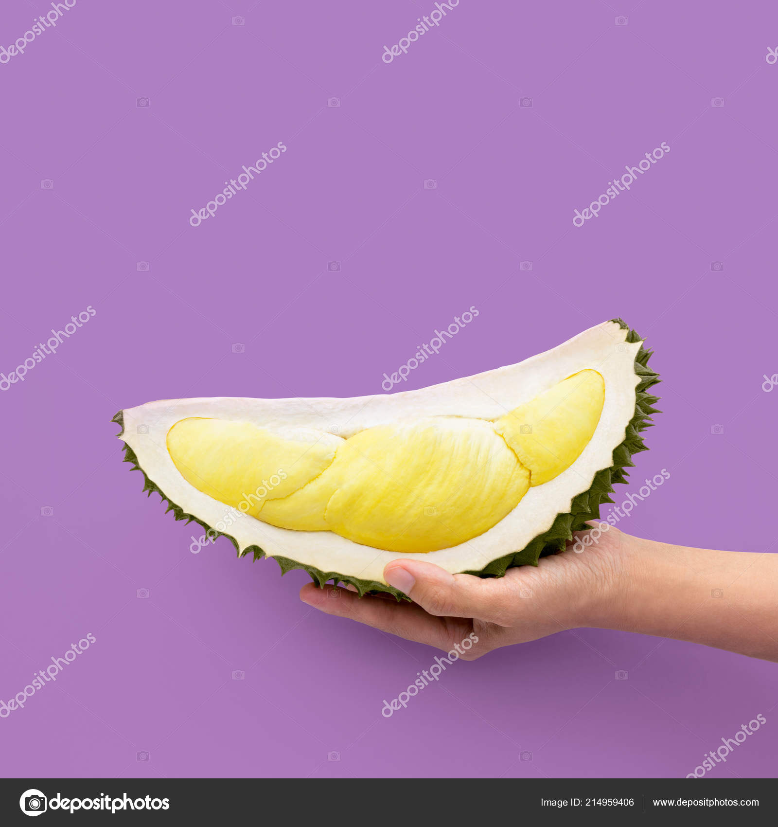 Hand Holding Fresh Cut Durian Purple Background King Fruit Thailand ...