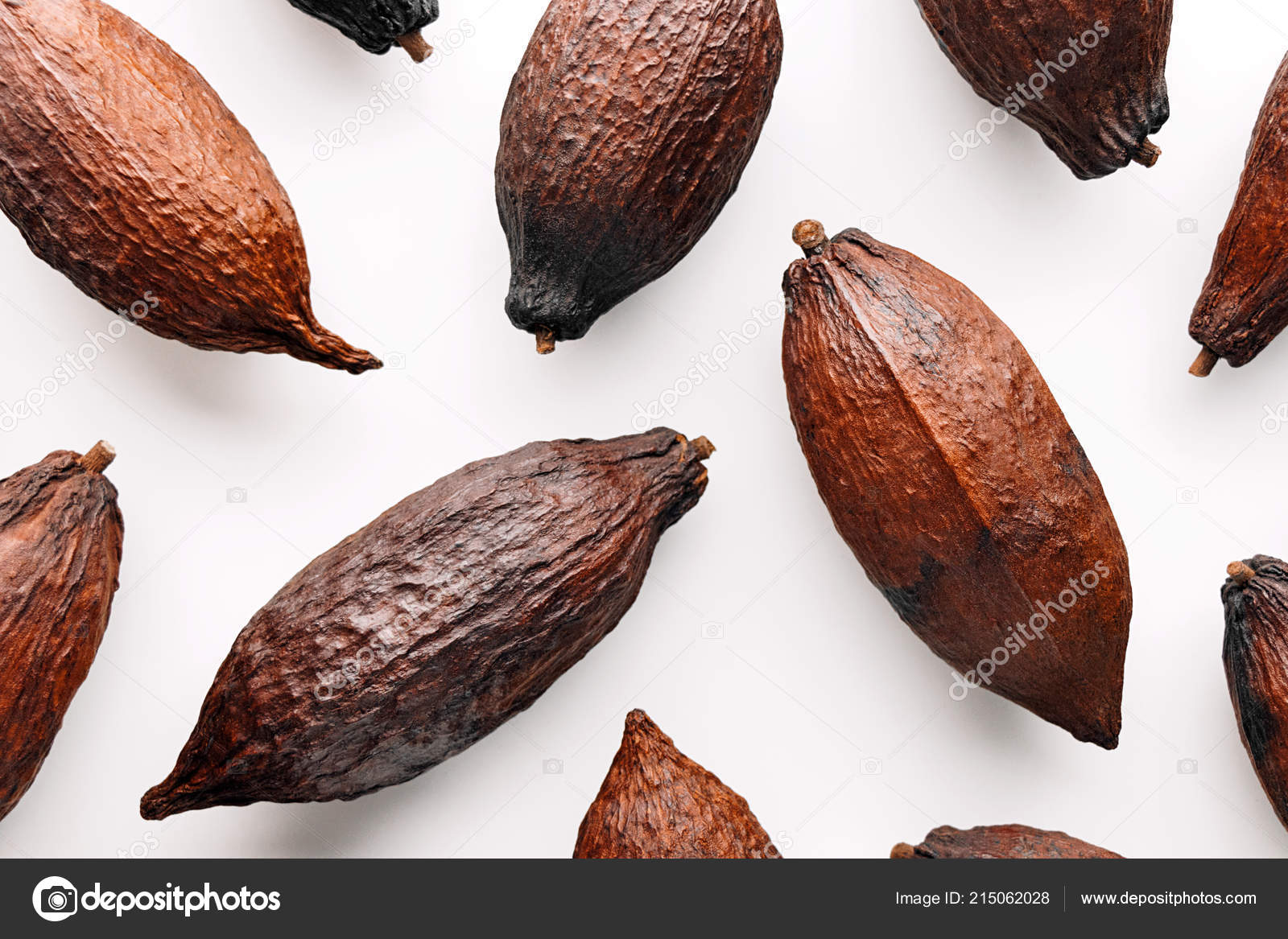 Cocoa Pods White Background Creative Flat Lay Food Concept Stock Photo ...