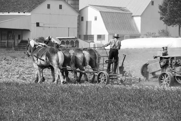 Vintage farming photos Stock Photos, Royalty Free Vintage farming ...