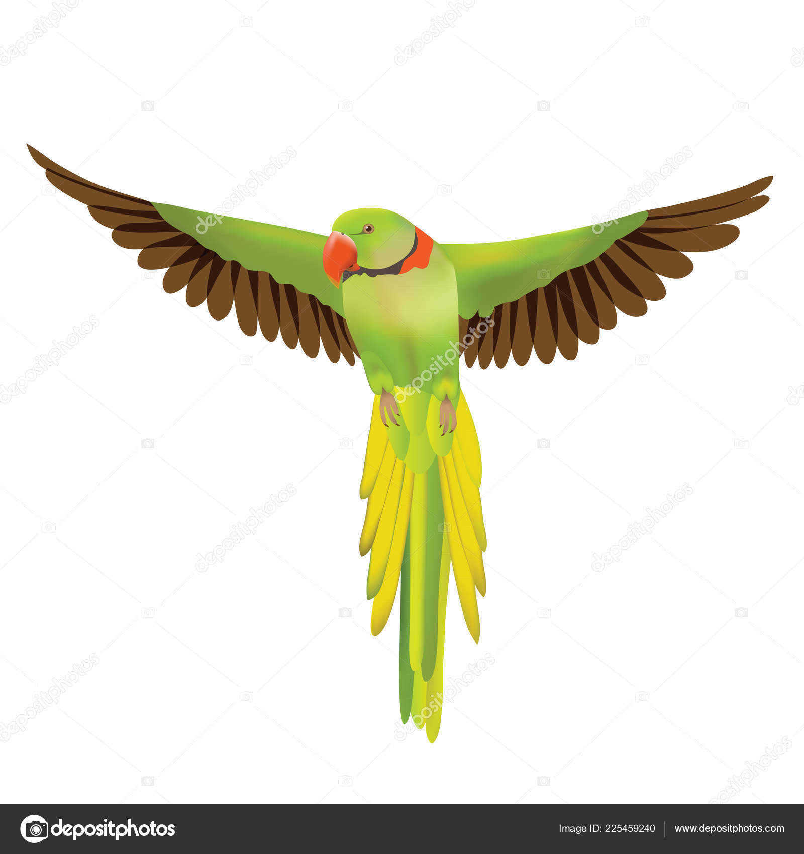 Green Parrot Flying