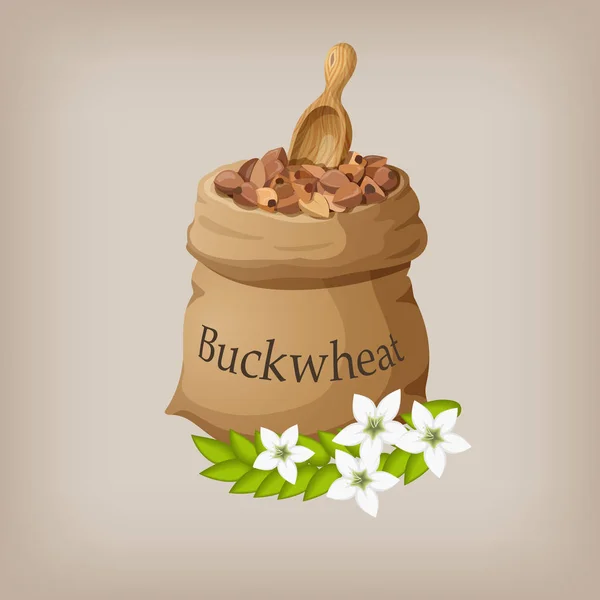 Buckwheat Vector Art Stock Images | Depositphotos