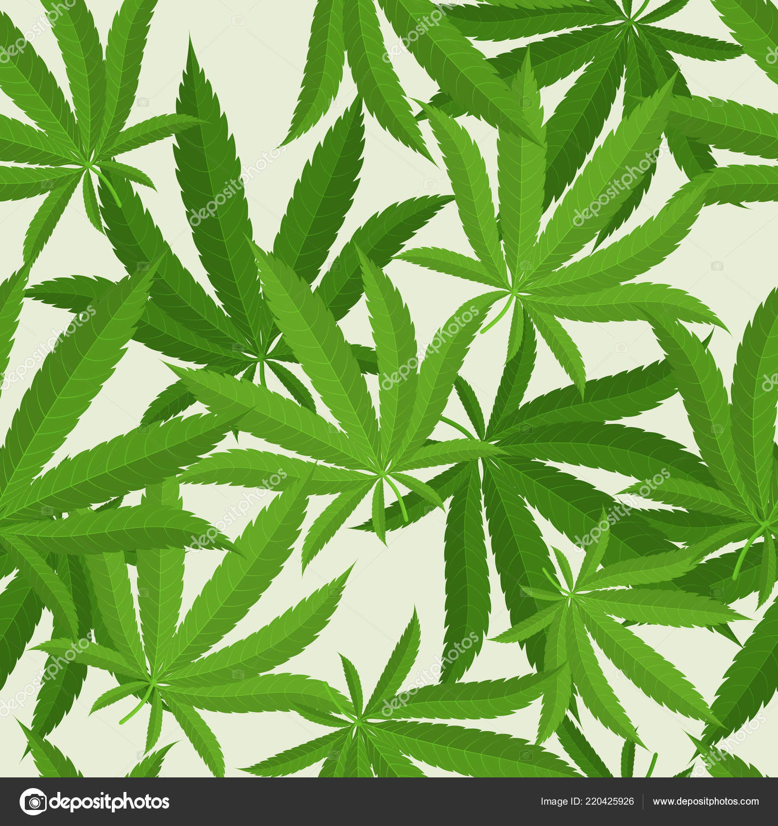 Patrón sin costuras con hojas de cáñamo de marihuana. Ilustración vectorial . Vector de stock ...