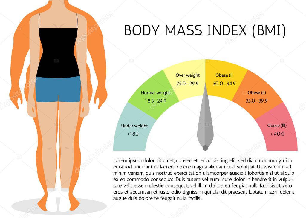 Índice De Masa Corporal O Imc Infografía Chart Vector Ilustración 2023