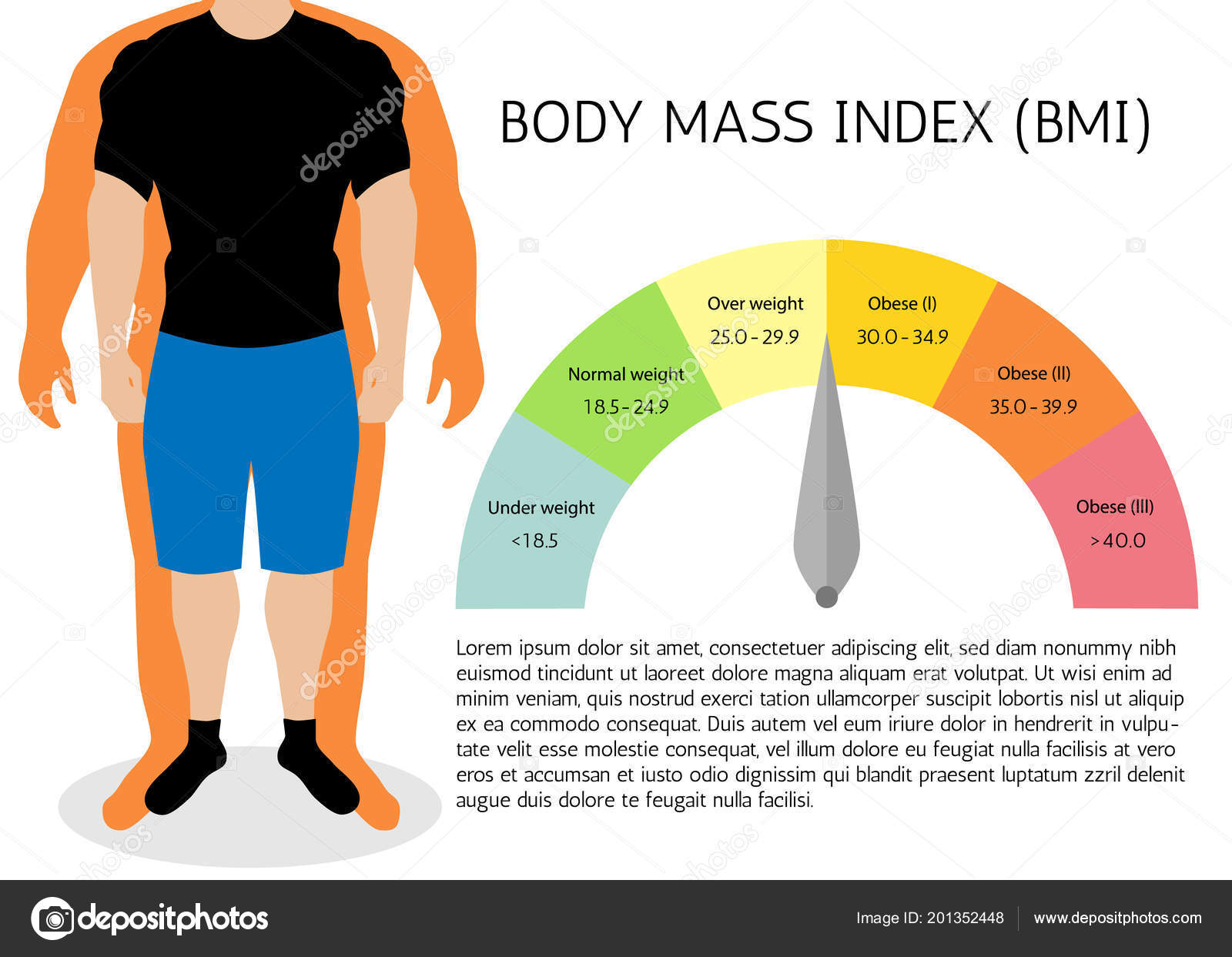 Bmi Body Mass Index Infographic Chart Vector Illustration Stock Vector Image By Pikat