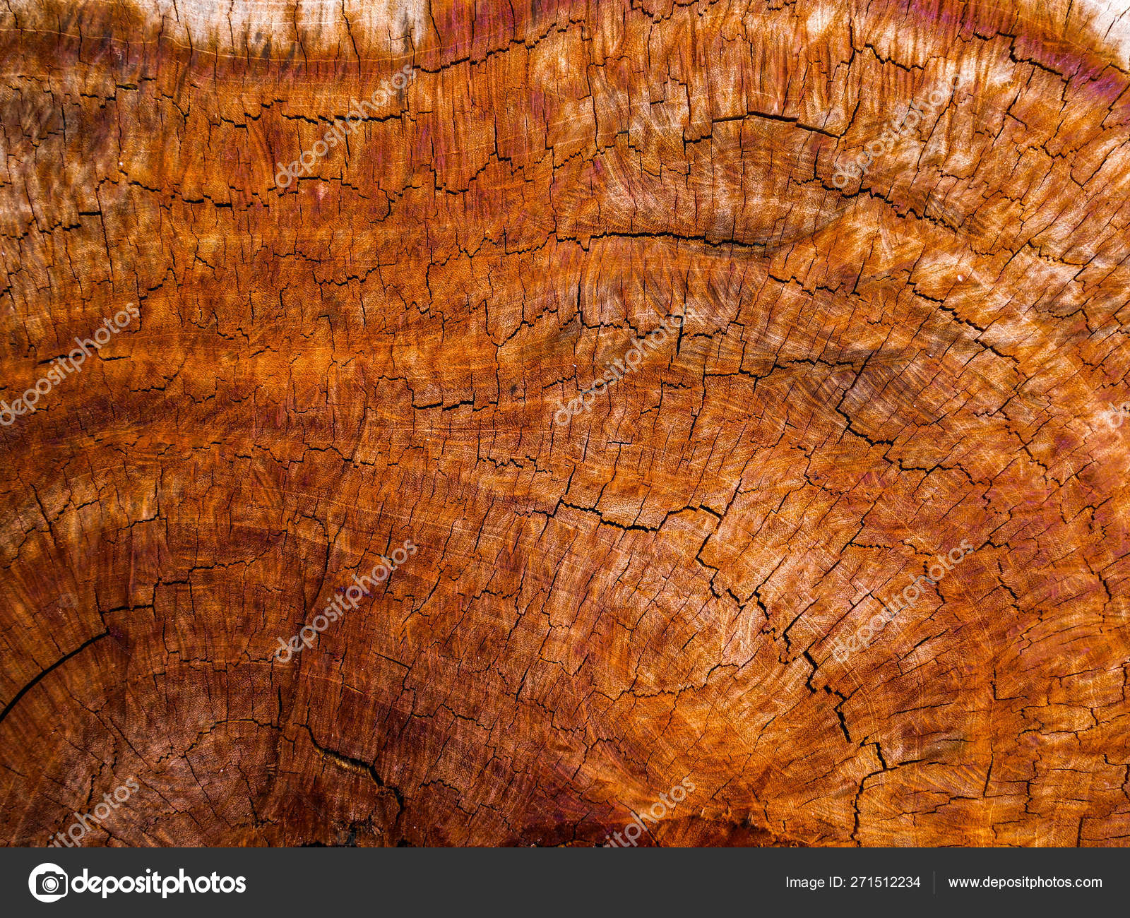 Annual ring surface texture Stock Photo by ©Tridsanu 271512234