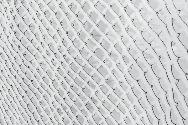 Winter hoarfrost on mesh. Net covered with snow, ice crystals. Close up ...