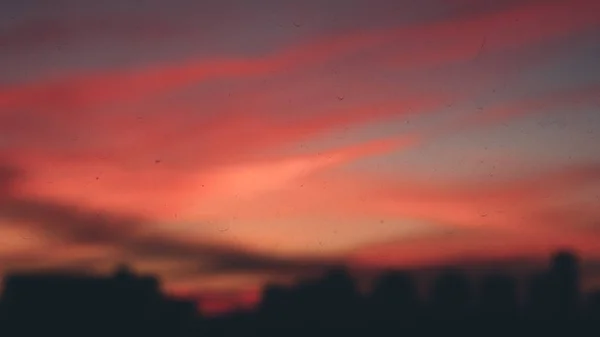 Pink sky through the dirty window. Sunset. Silhouettes of buildings ...