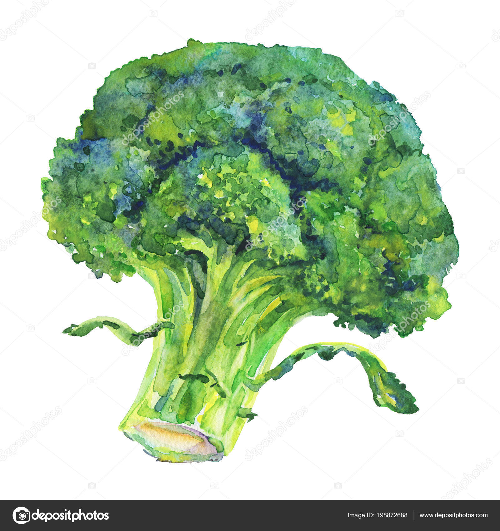 Broccoli Painting
