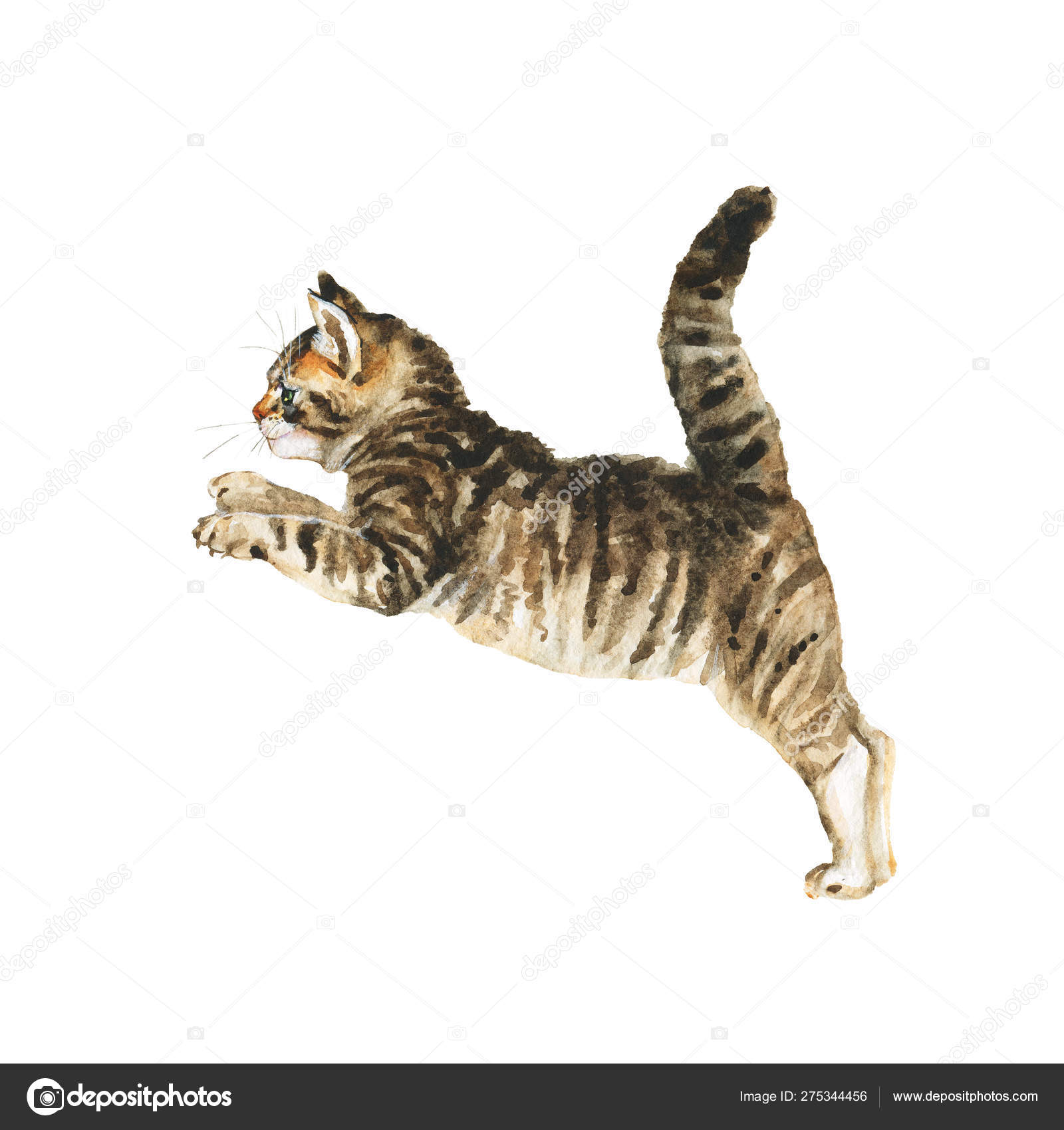 Kitten Pouncing Drawing