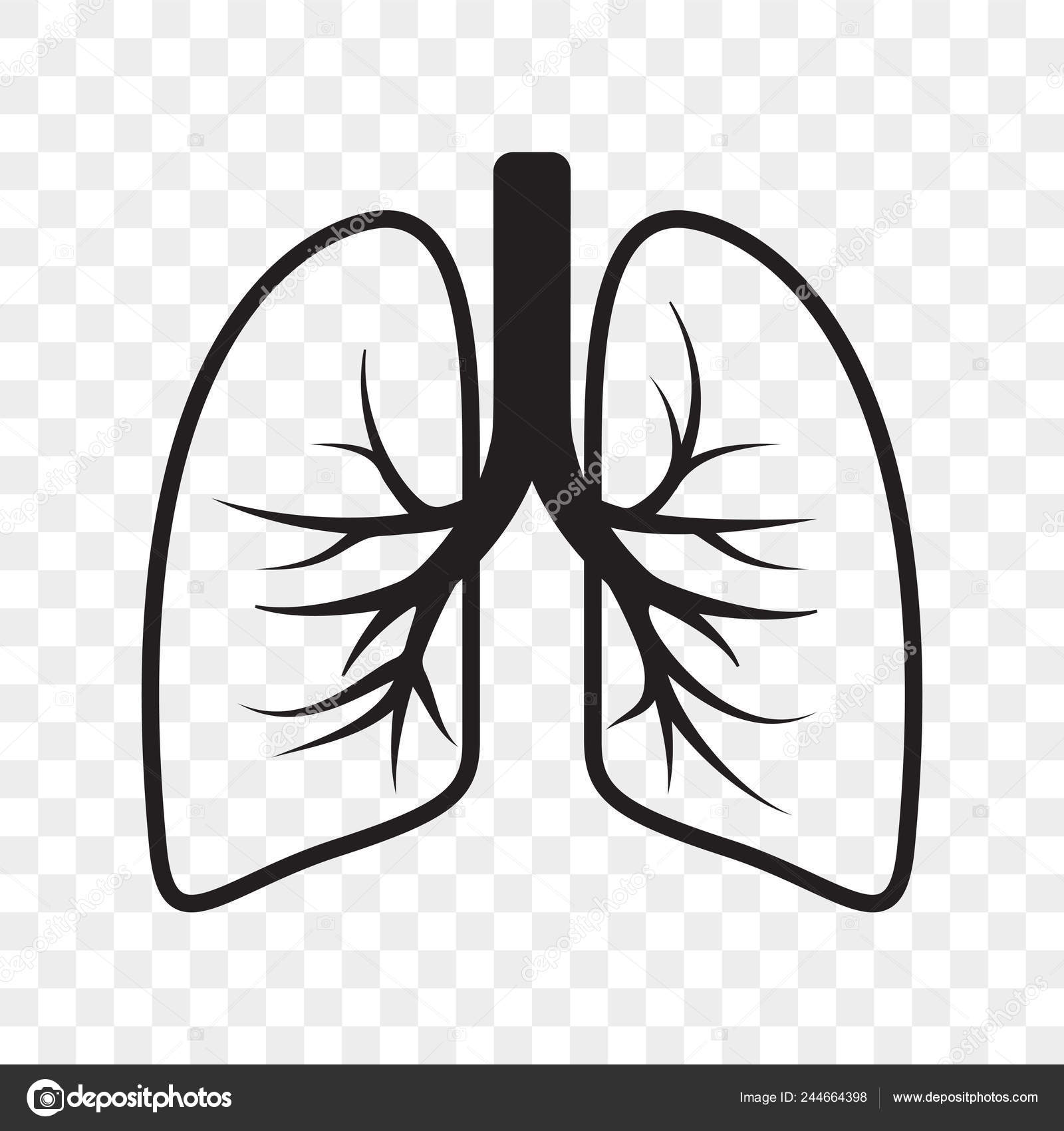 Lungs Vector Outline Icon Cold Cough And Bronchitis Lung Disease