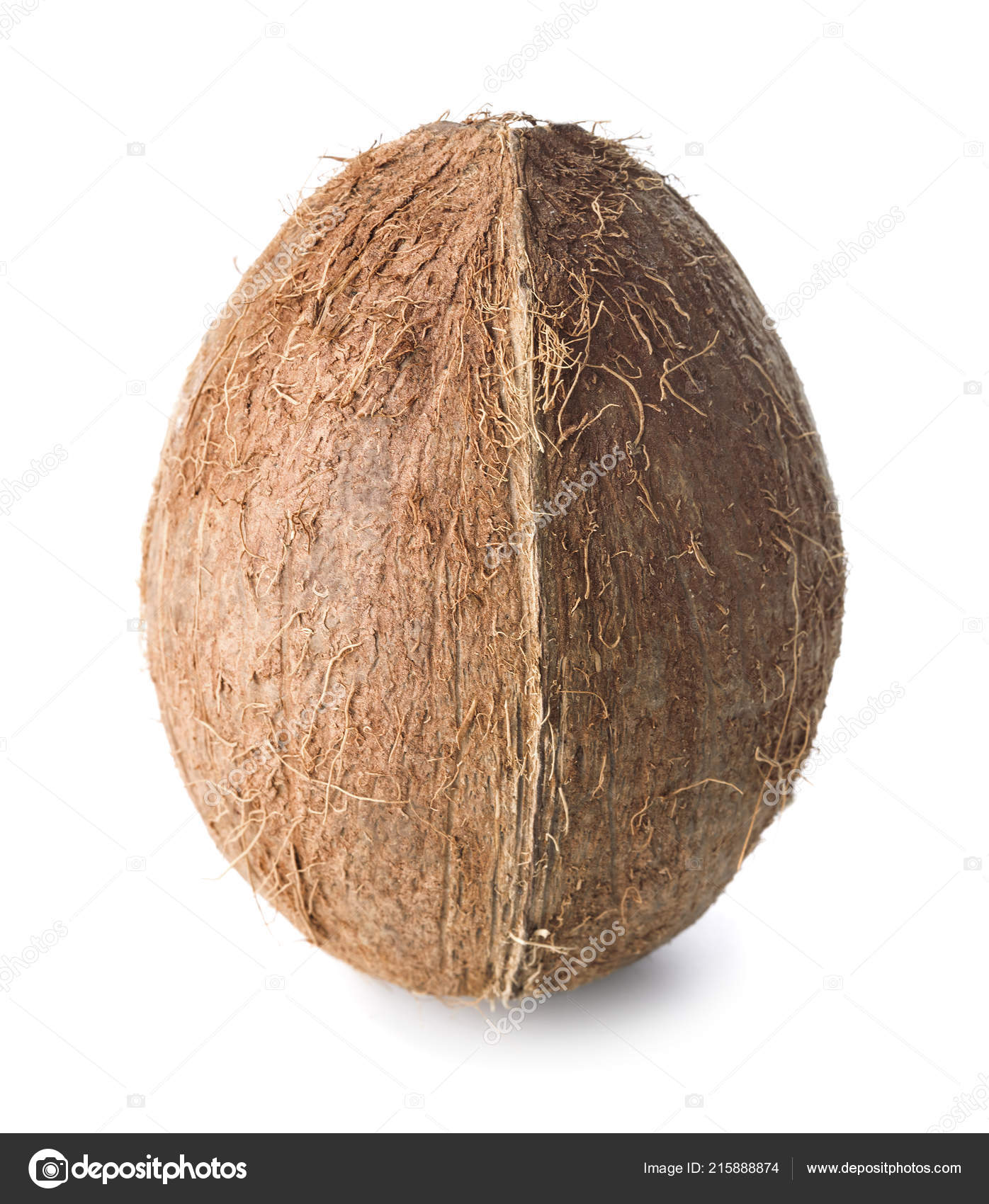 Single whole coconut — Stock Photo © Pineapple_Studio #215888874