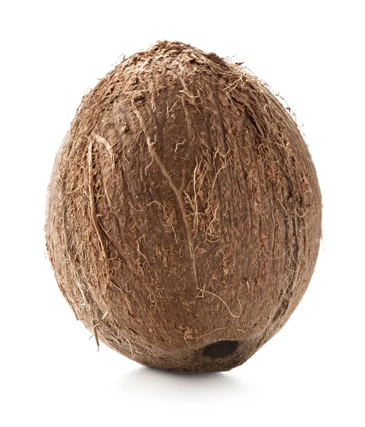 Single whole coconut — Stock Photo © Pineapple_Studio #215888874