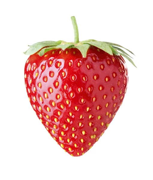 Single strawberry Stock Photos, Royalty Free Single strawberry Images ...
