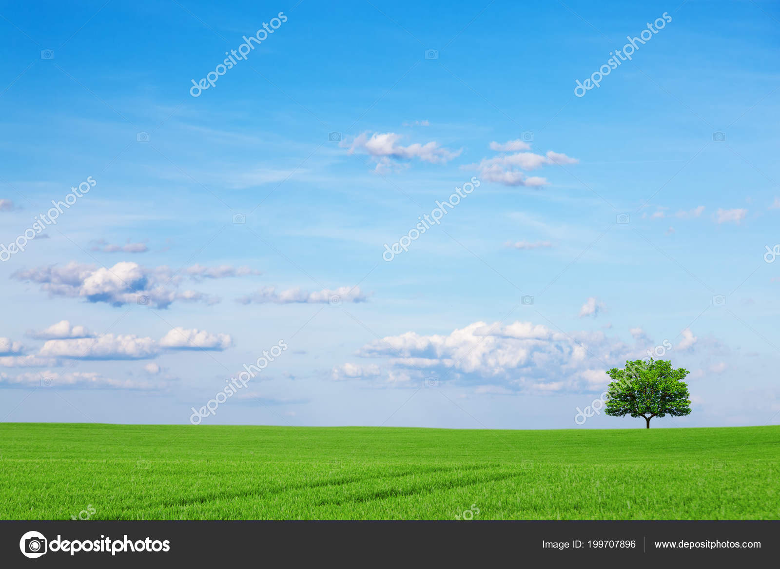 Field Tree Clouds Sky Sunny Day Stock Photo by ©charmphoto 199707896