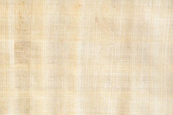 Curled up sheets of papyrus paper — Stock Photo © borismrdja #2192564