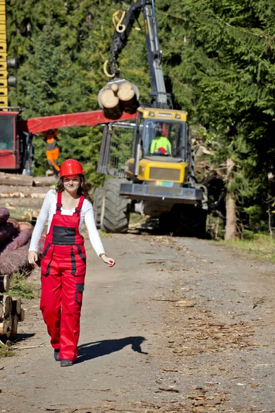 Young forest engineer standing in front of forestry machinery for ...