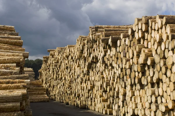 Wood processing - saw mill. A large pile of logs ready for processing ...