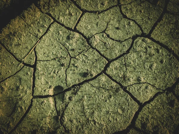 La texture de la terre Stock Photos, Royalty Free La texture de la ...