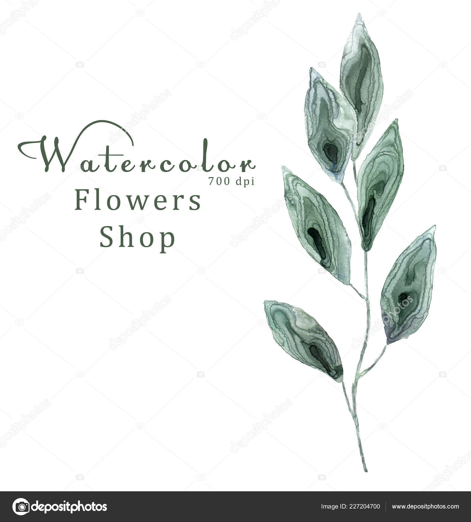 Watercolor Floral White Background 700 Dpi Similar Illustration Leaf ...