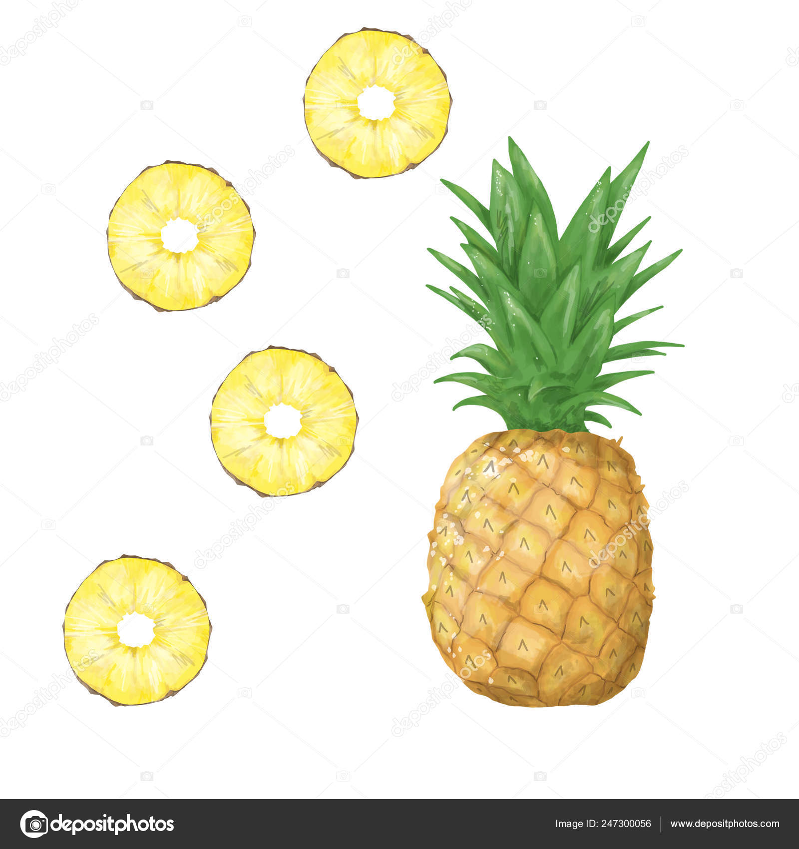 Pineapple Clip Art Digital Fresh Tropical Fruit Stock Illustration by ...