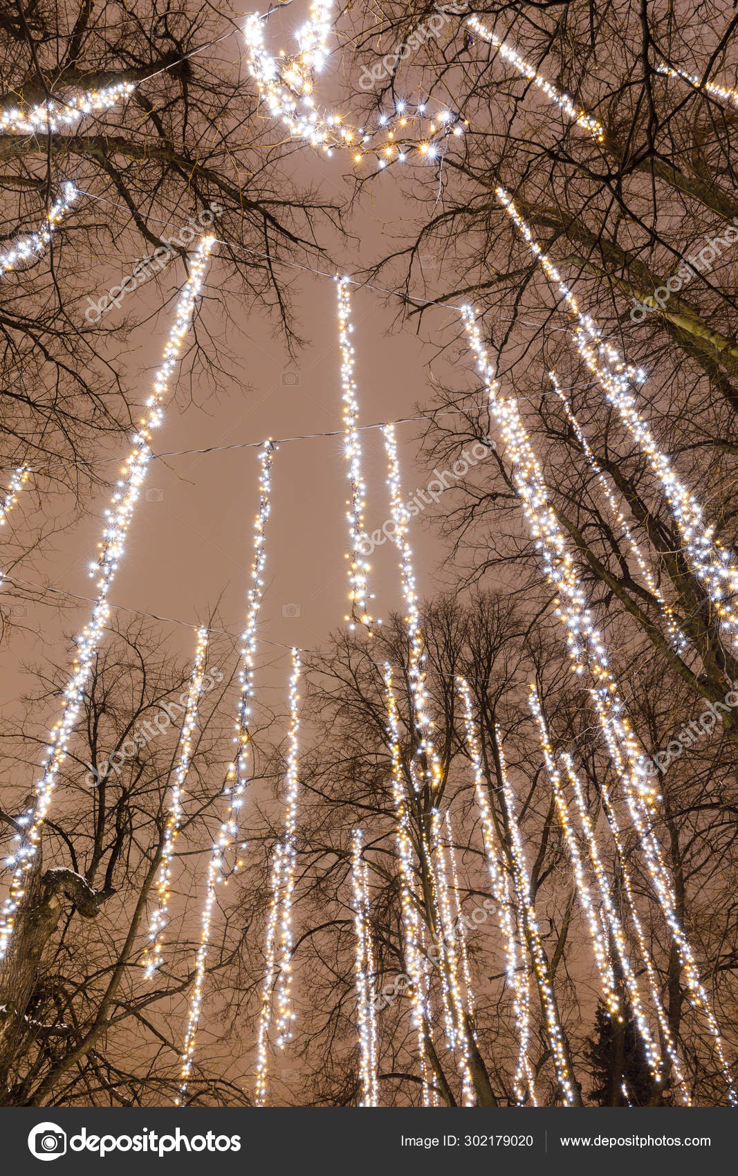 Long LED light strips hang on trees — Stock Photo © risto40 #302179020