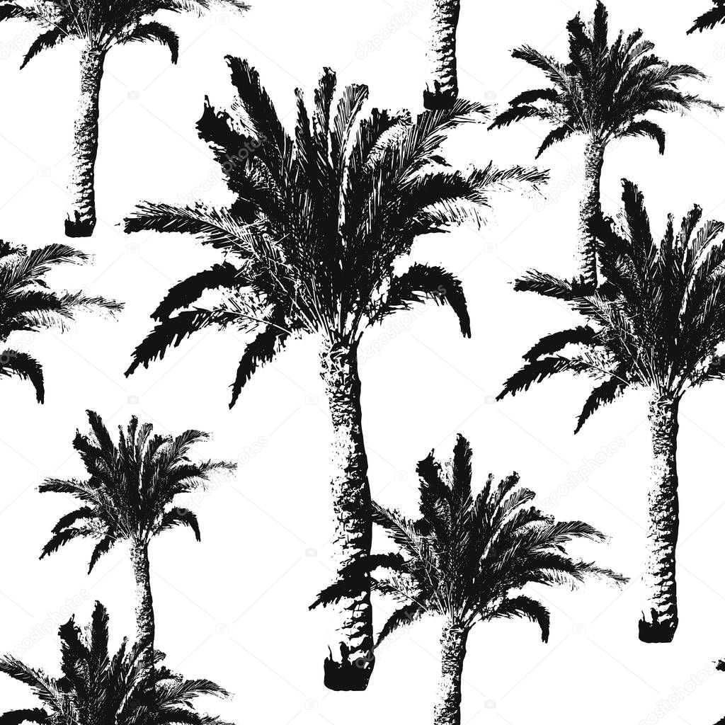 palmeras dibujadas a mano patrón sin costuras. Fondo exótico de moda ...