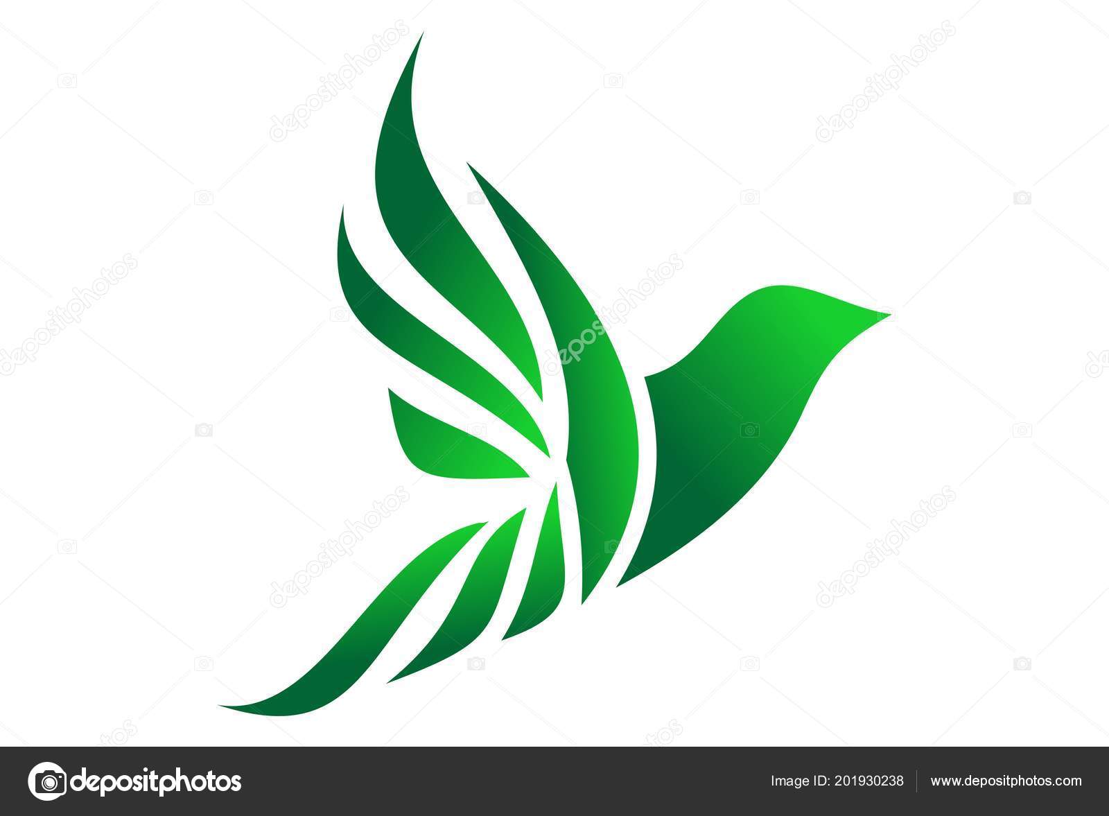 Green Bird Logo