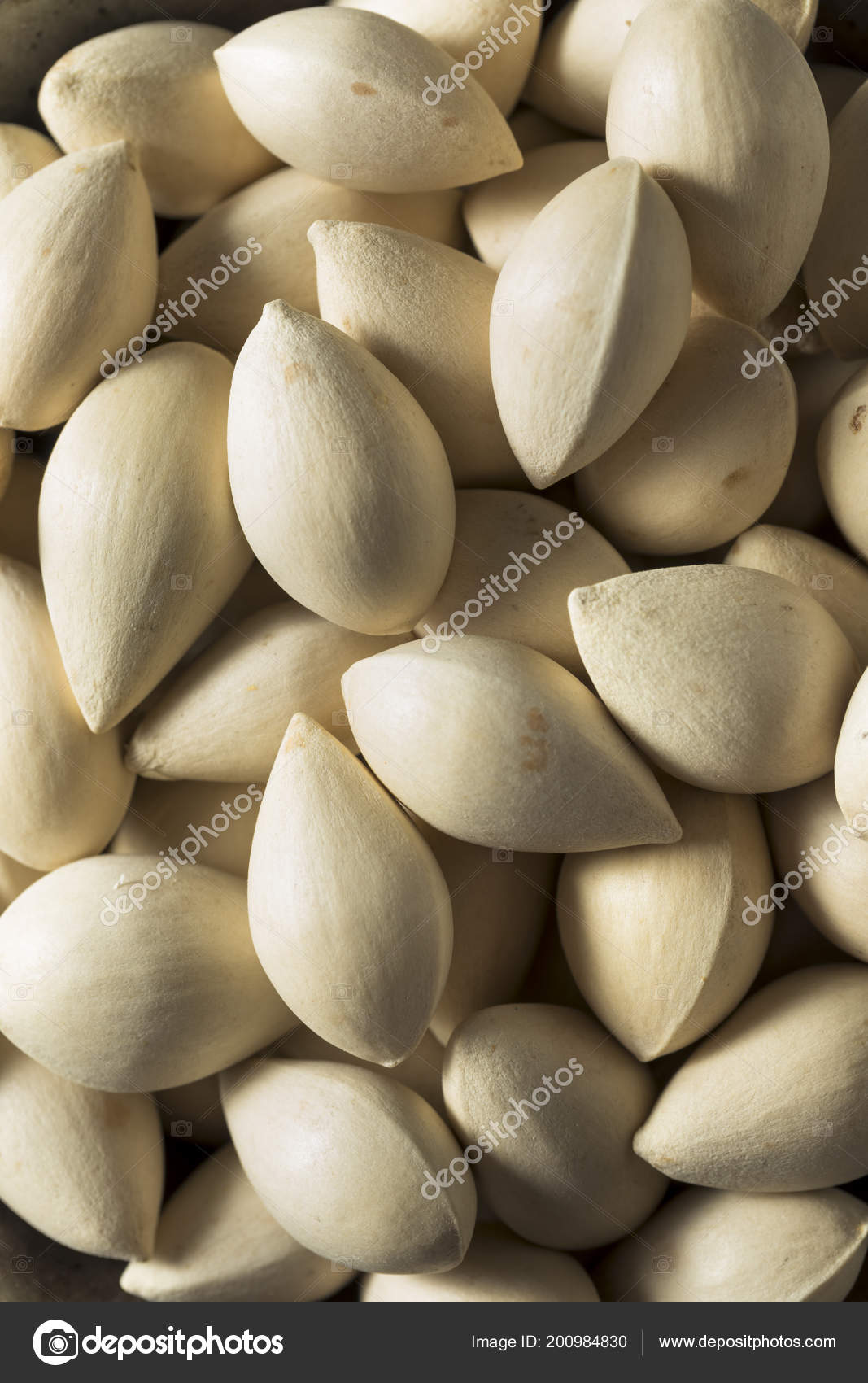 Ginkgo Biloba Nut