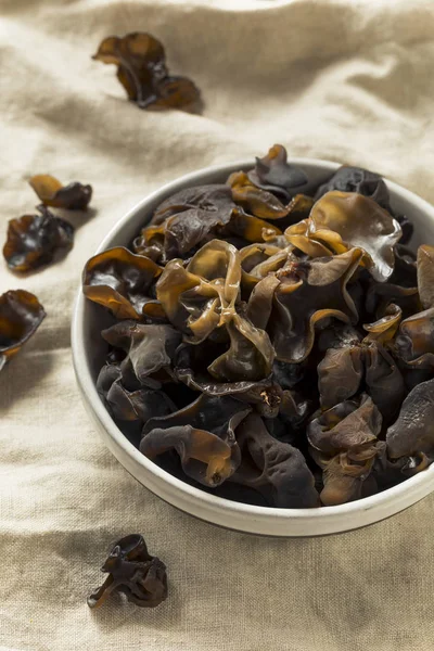 Fa fül gomba Stock fotók, Fa fül gomba Jogdíjmentes képek | Depositphotos