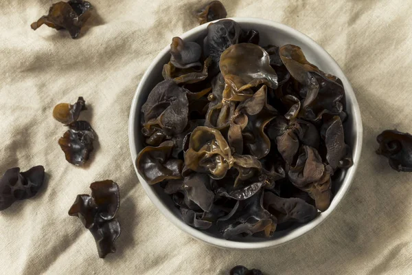 Fa fül gomba Stock fotók, Fa fül gomba Jogdíjmentes képek | Depositphotos