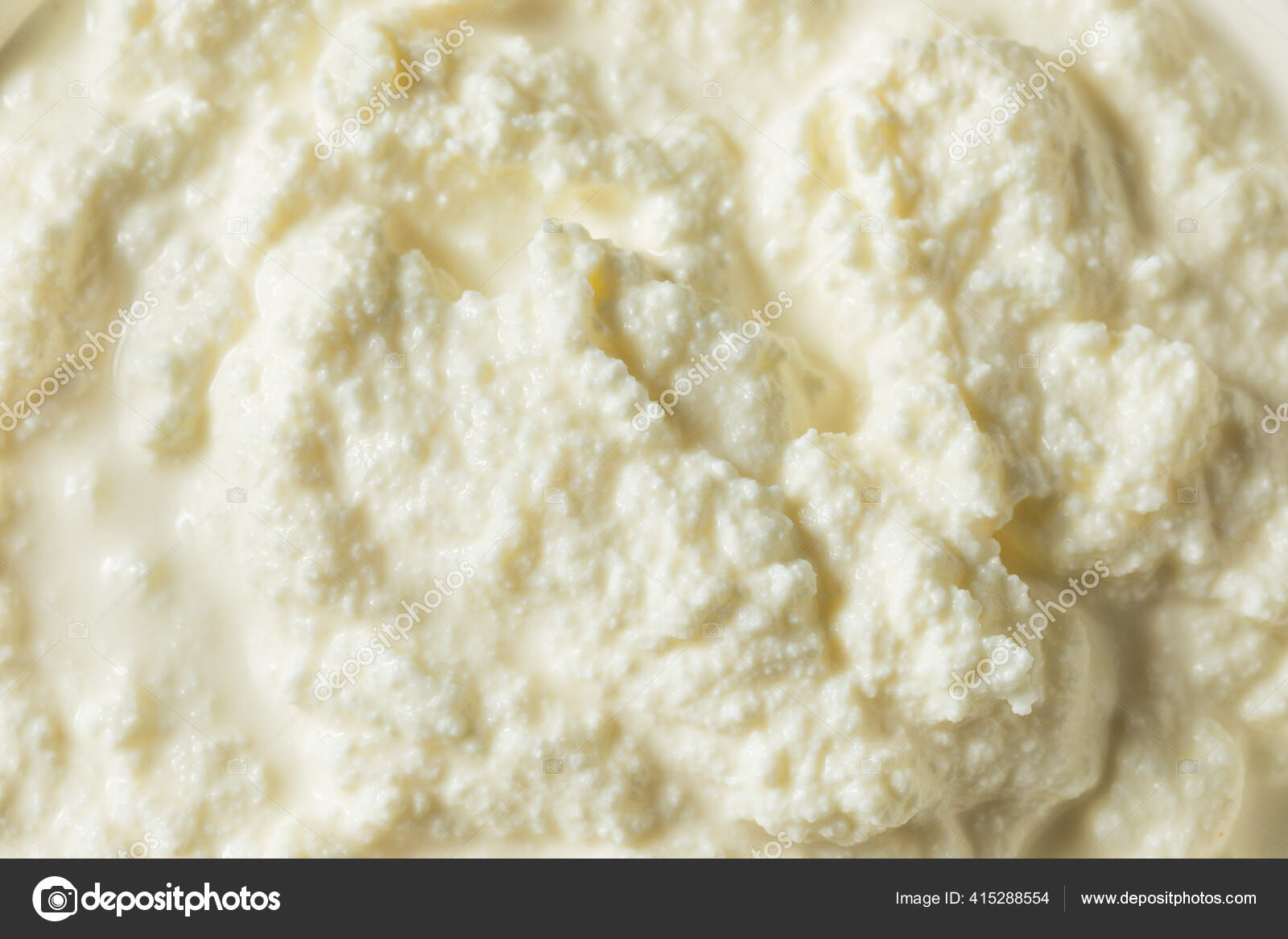 Organic Ricotta Cheese