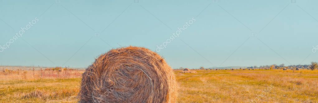 Hayroll Stock Photos, Royalty Free Hayroll Images | Depositphotos®