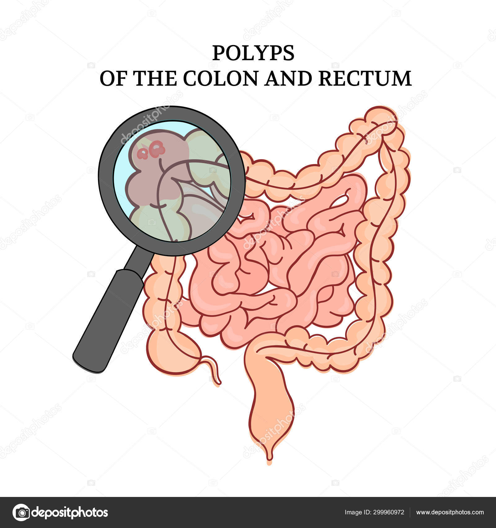 Rectum Clipart