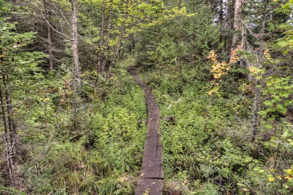 Bearskin trail Stock Photos, Royalty Free Bearskin trail Images ...