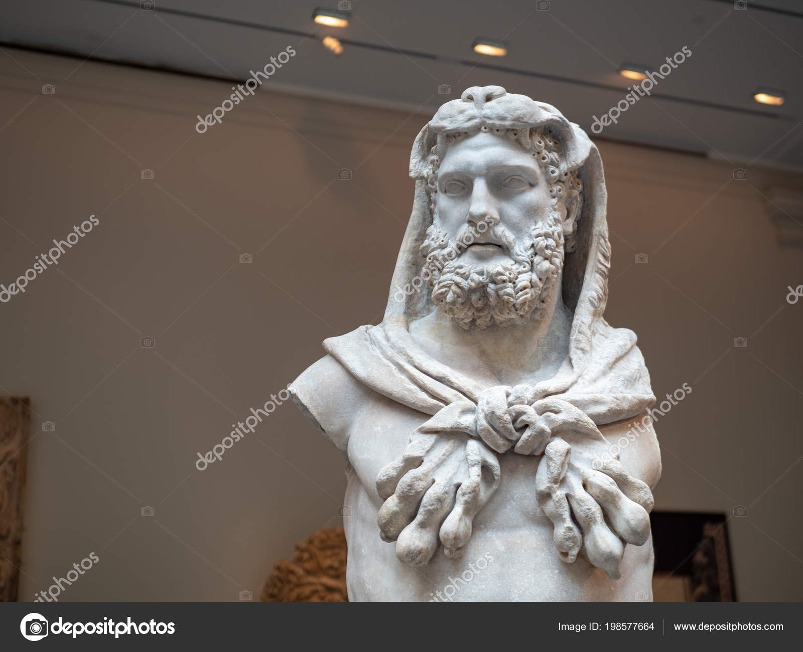 Hercules Lion Skin Coat | atelier-yuwa.ciao.jp