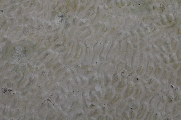 Sponge texture Stock Photos, Royalty Free Sponge texture Images ...