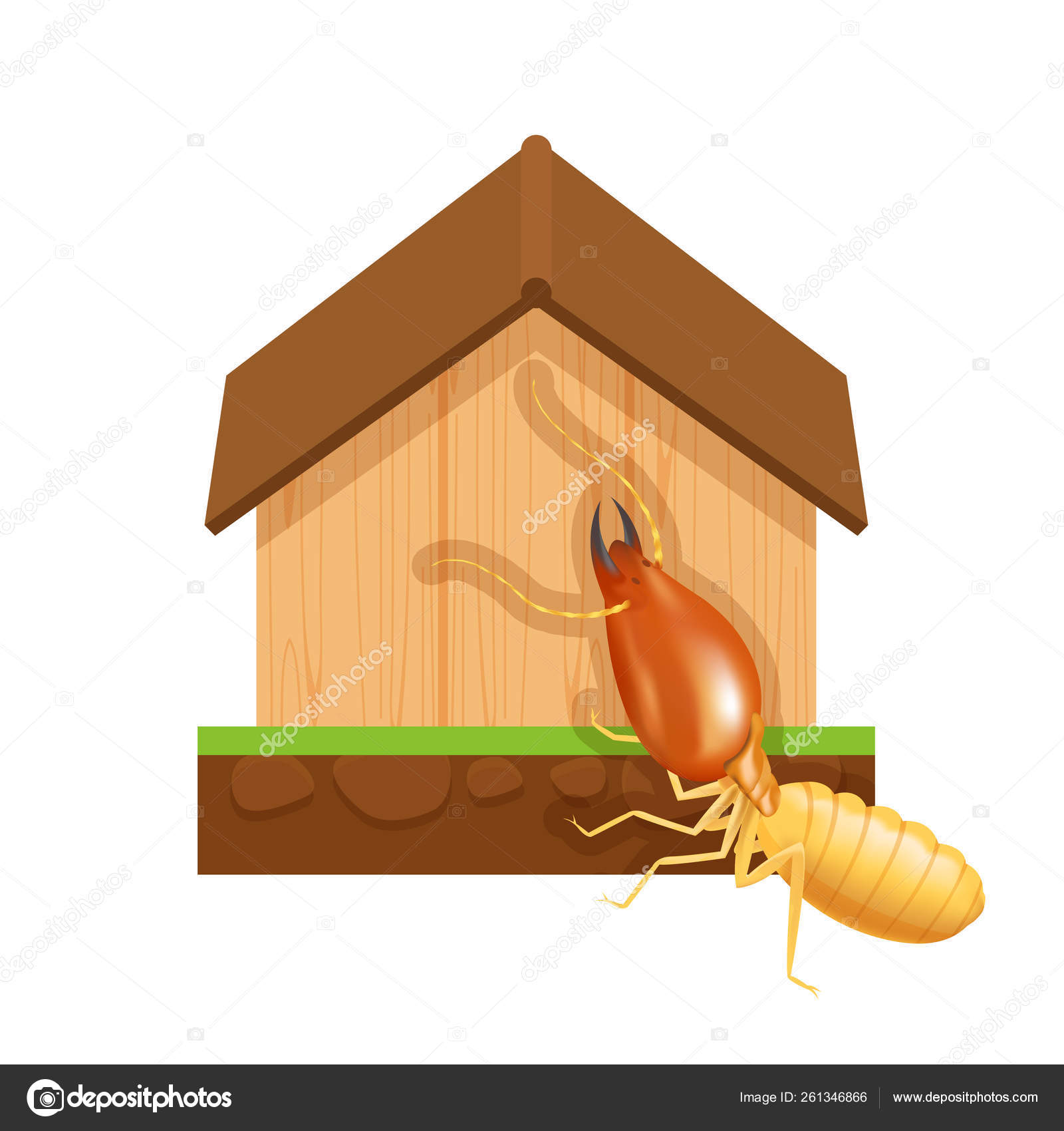 Cartoon termite eating wood | Termite Wood House Isolated White ...