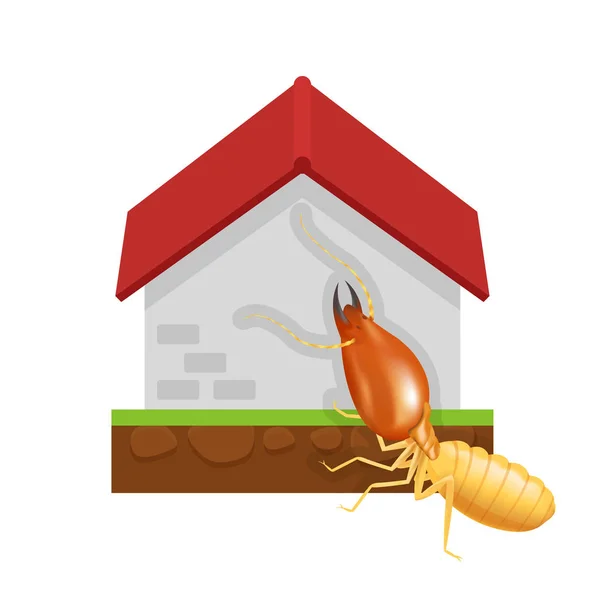 Cartoon termite eating wood | Termite Wood House Isolated White ...