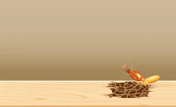 Cartoon termite eating wood | Termite Wood House Isolated White ...