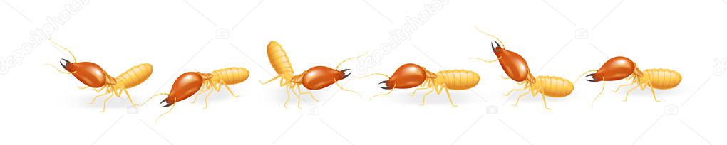 Termites house Vector Art Stock Images | Depositphotos