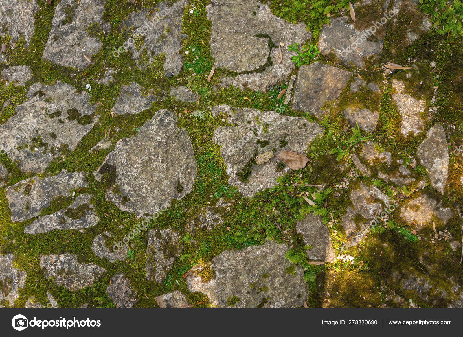 Mossy Cobblestone Texture