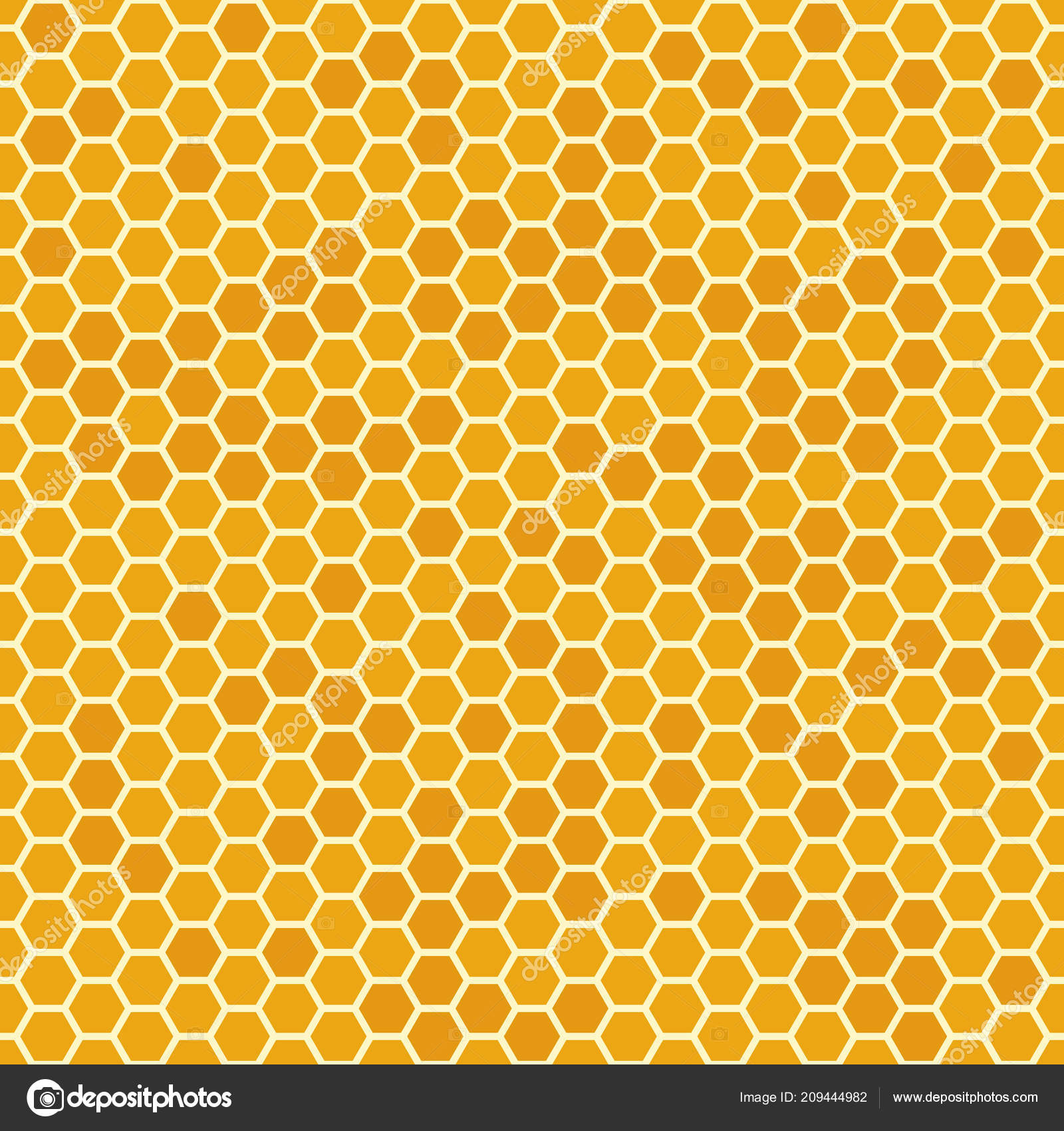 Honey Bees Comb Background