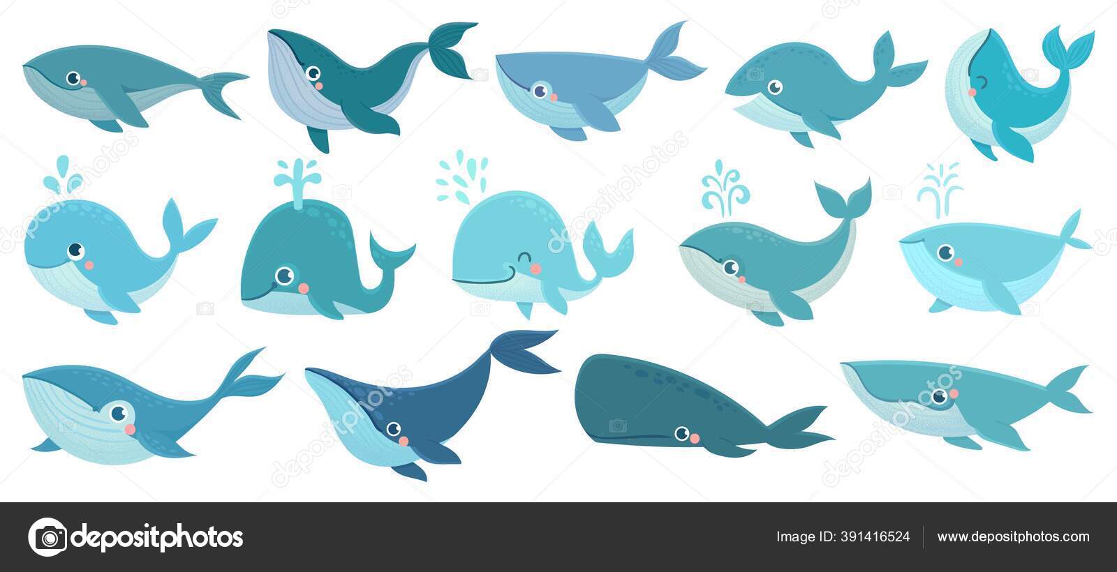 Simple Whale Clip Art