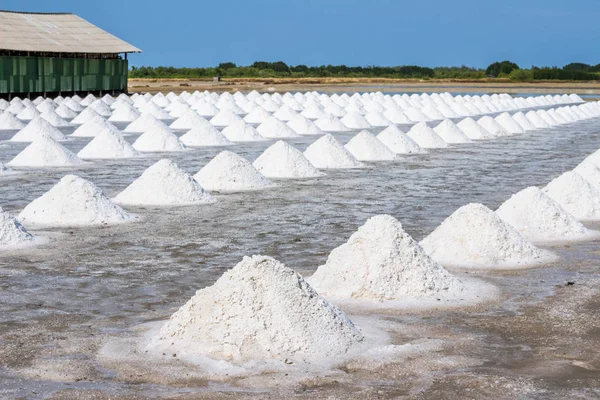 Farm of salt production Stock Photos, Royalty Free Farm of salt ...