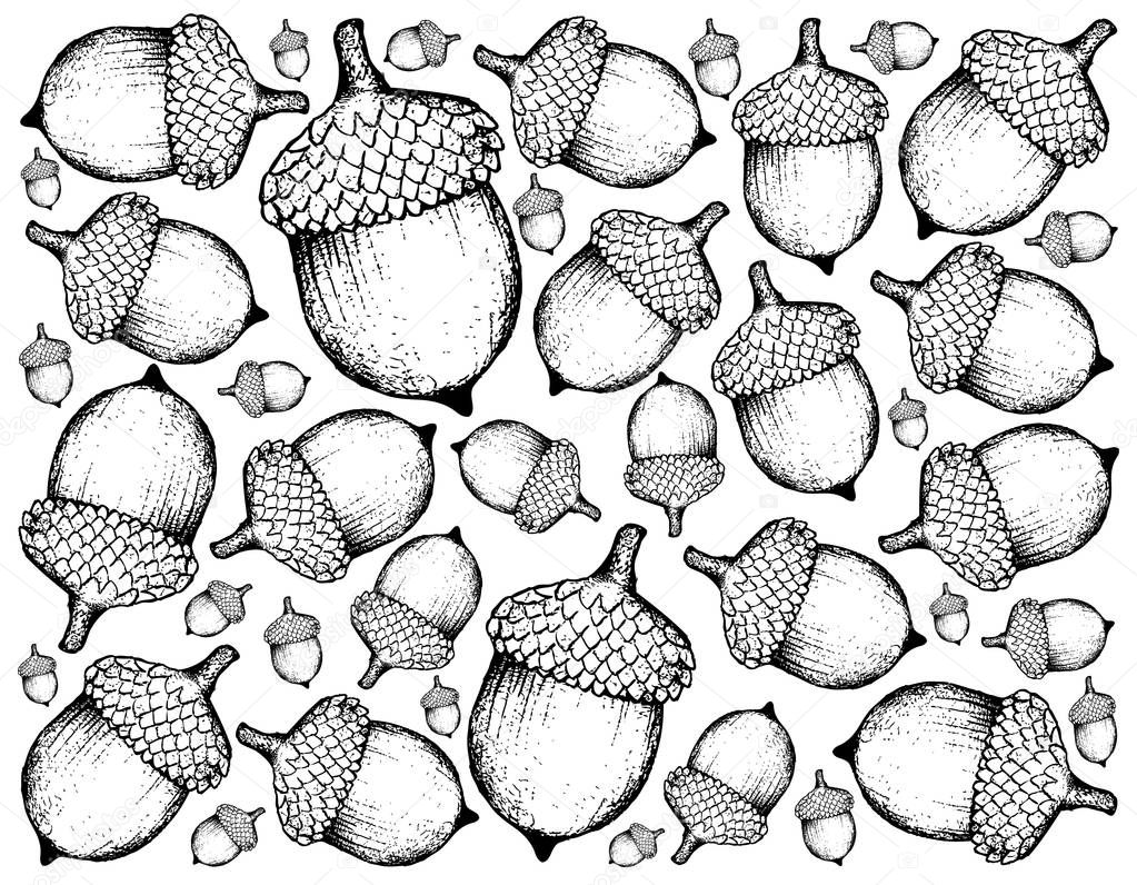 Árbol de otoño, Ilustración Fondo de pantalla Fondo de mano dibujado de ...