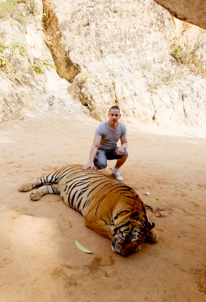 Man and tiger Stock Photos, Royalty Free Man and tiger Images ...