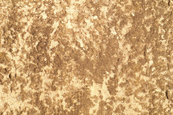 mold moss on an old concrete wall. background. texture - Stock Image ...