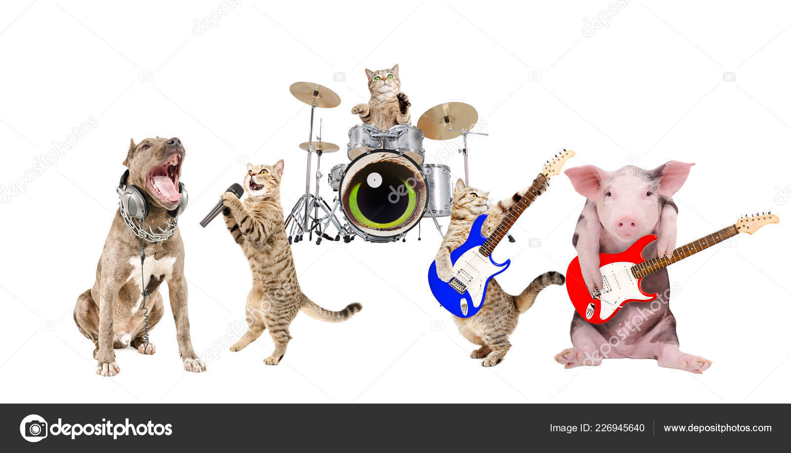 Performance Animals Musicians Isolated White Background — Stock Photo ...